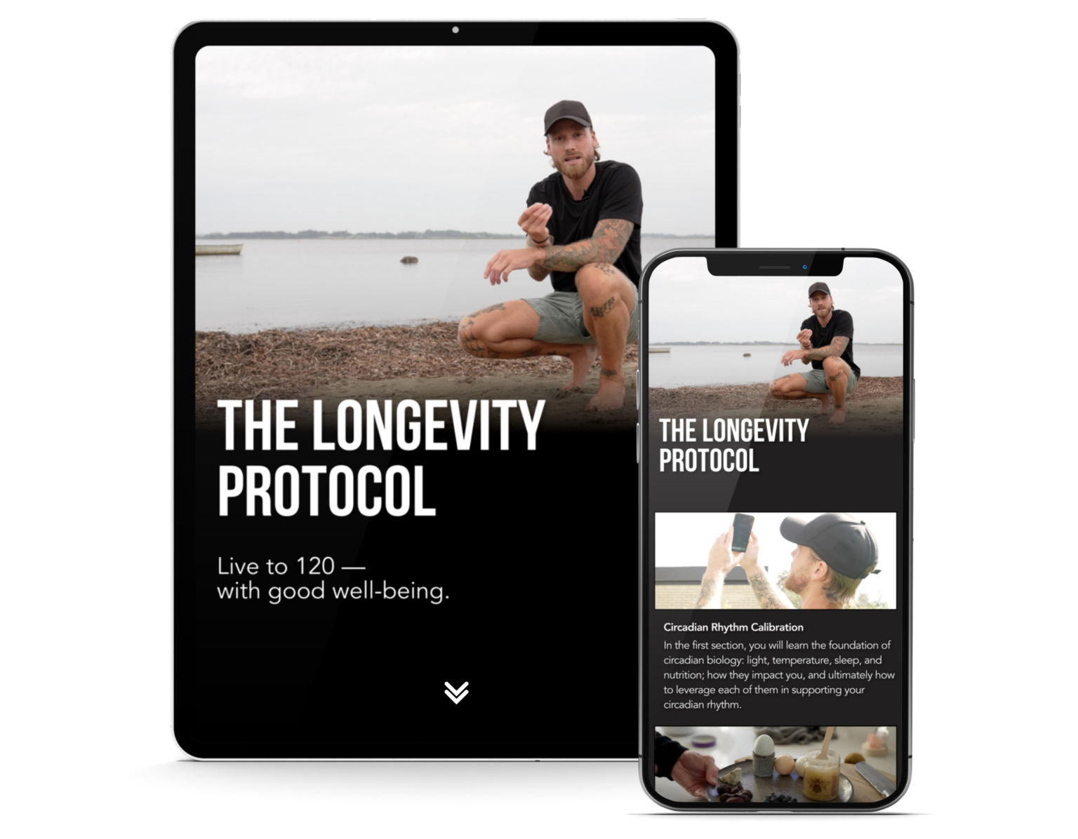 The Longevity Protocol - MT Performance