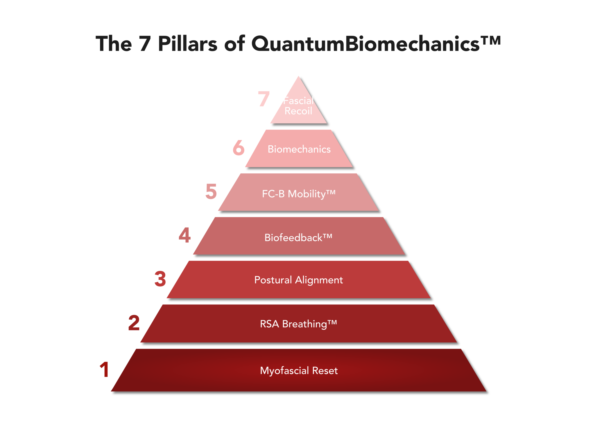 7 Pillars of QuantumBiomechancis - MT Performance