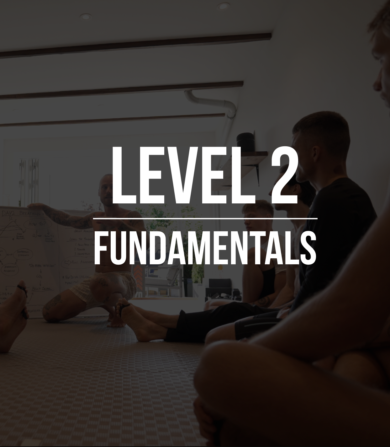 Workshops - MT Performance